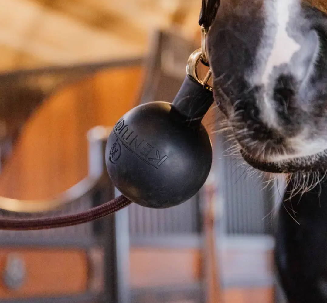 Rubber Ball Protection Wall & Lead – Royal Horse Boutique