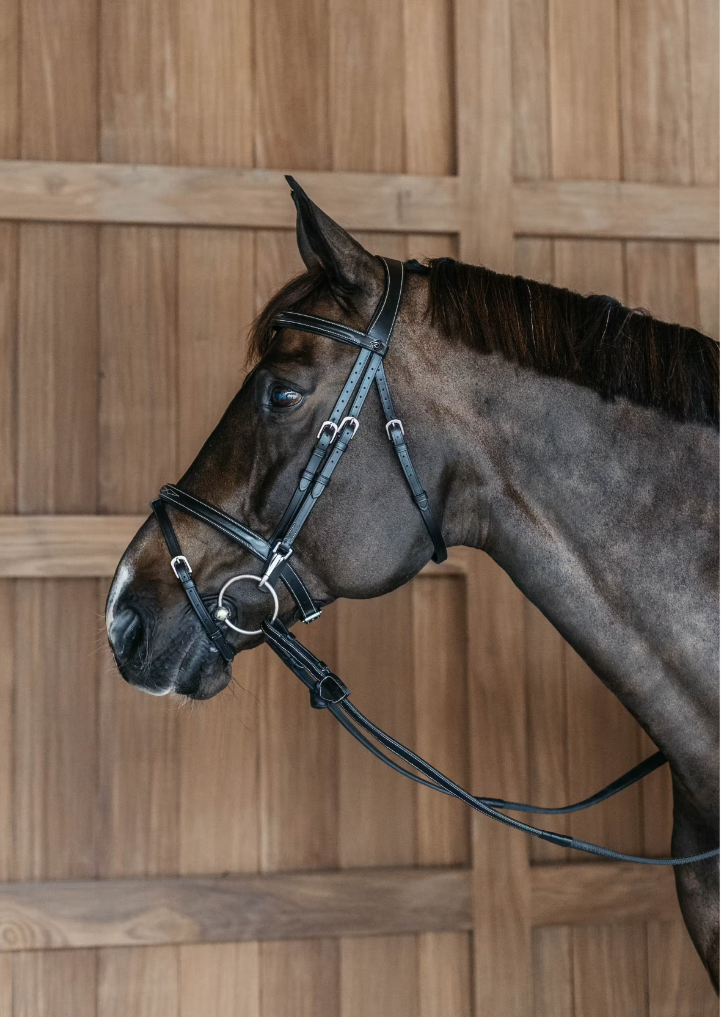 DYON Flash Noseband Bridle with Snap Chiekpieces – Royal Horse Boutique
