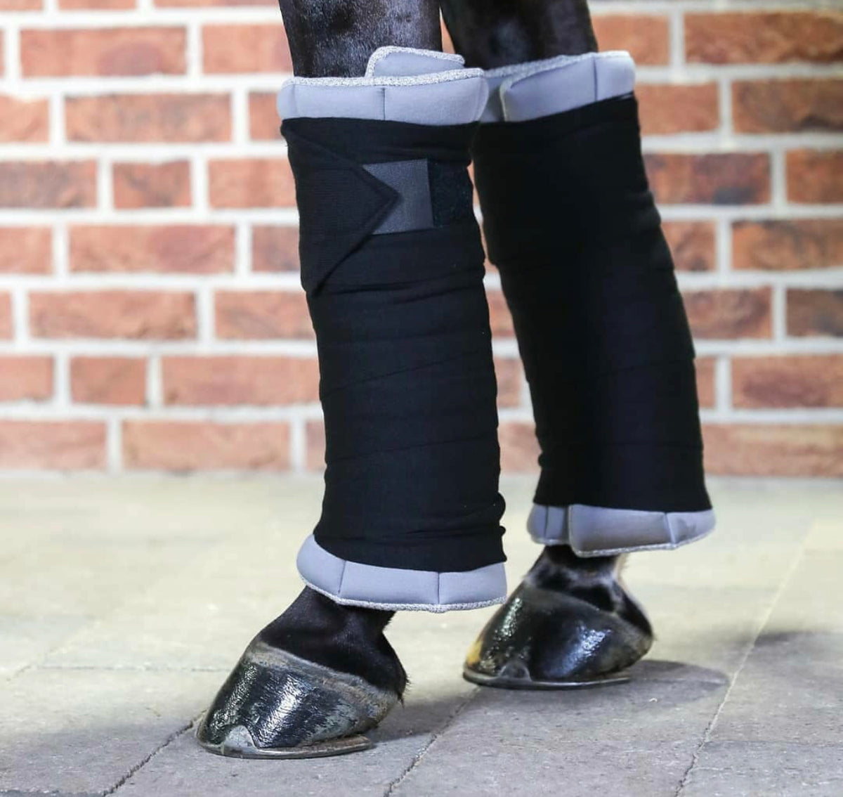 Incrediwear Circulation standing wraps – Royal Horse Boutique