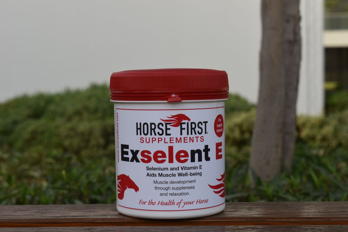 Exselent E | Horse First – Royal Horse Boutique