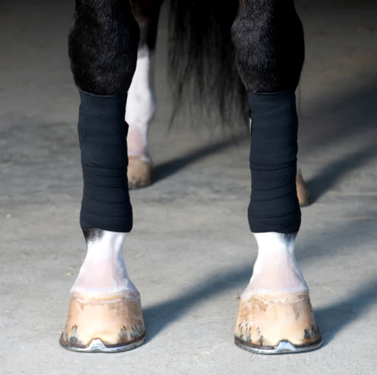 Incrediwear Black Circulation exercise bandages – Royal Horse Boutique