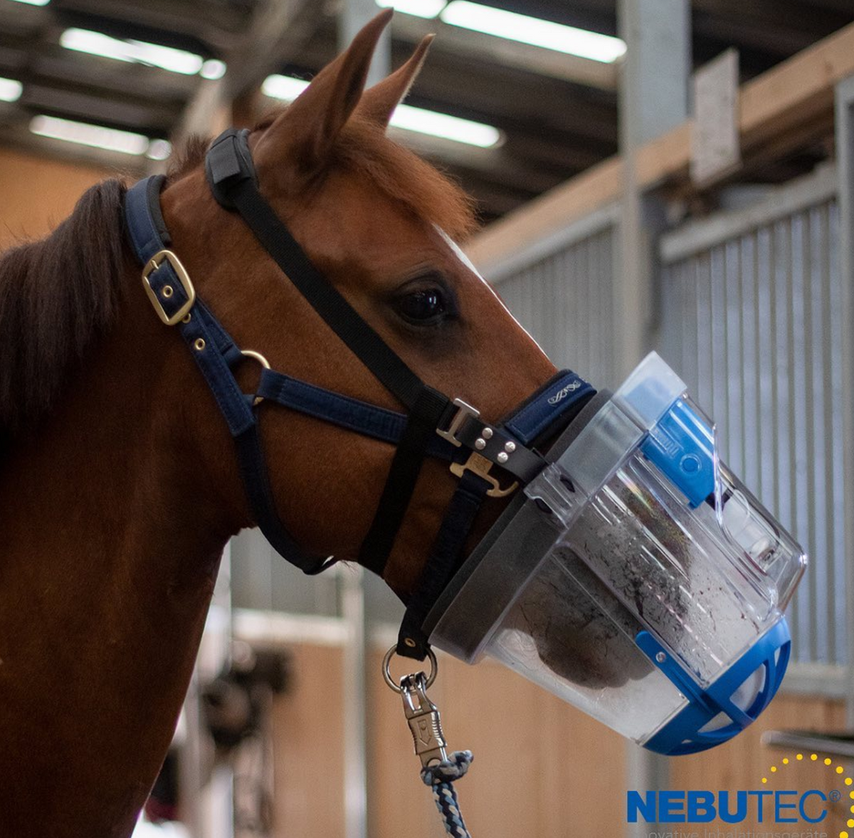 Horse Nebulizer – Royal Horse Boutique